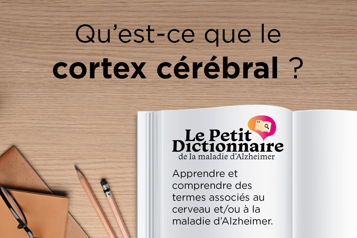 Définition du cortex cérébral - Fondation Alzheimer