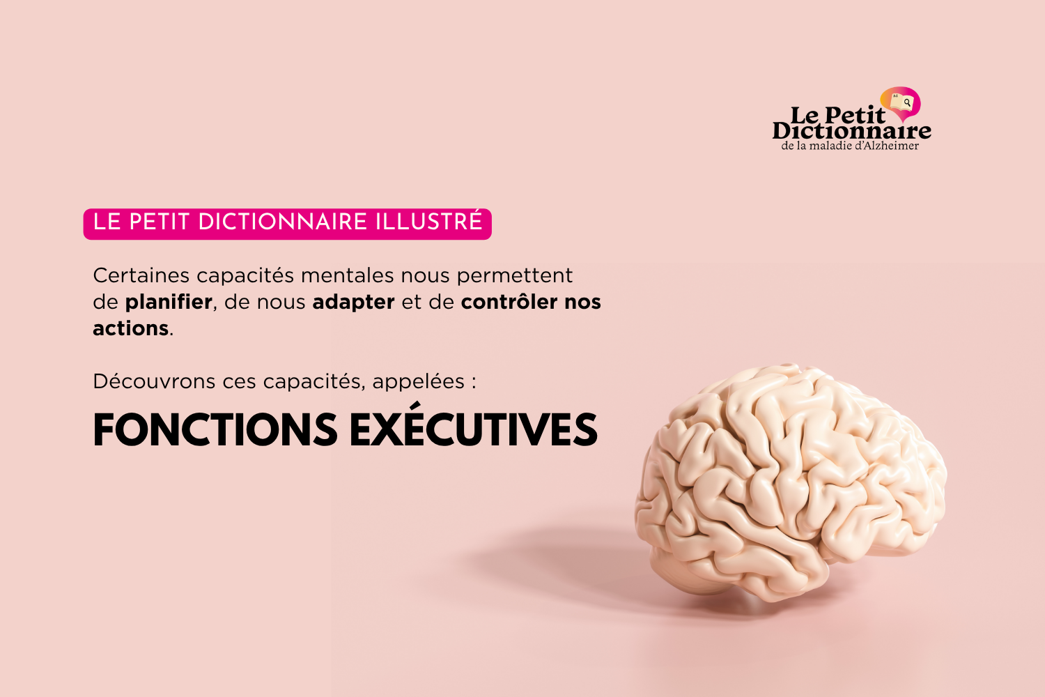A quoi servent les fonctions exécutives ? - Fondation Alzheimer